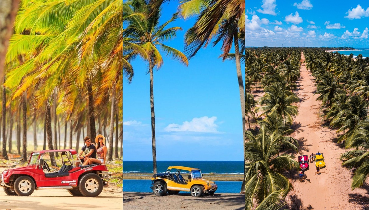 Passeio de Buggy em Porto de Galinhas: Ponta a Ponta ou Tradicional ...